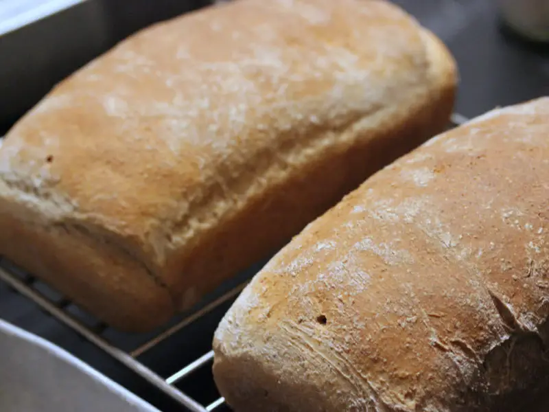 Whole Wheat Bread with Toasted Wheat Germ and Rye - Cully's Kitchen