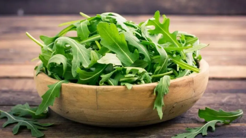 How To Tell If Arugula Is Bad? - Cully's Kitchen