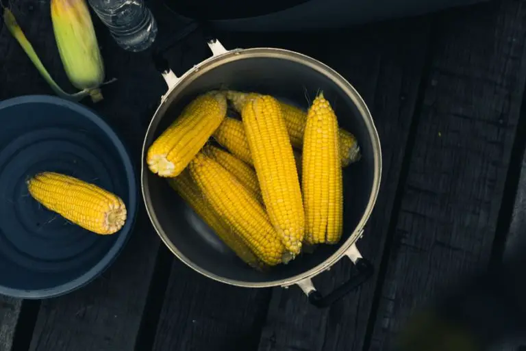 How To Tell If Corn On The Cob Is Bad? - Cully's Kitchen