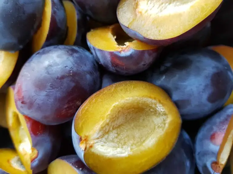 How To Tell If A Plum Is Bad? - Cully's Kitchen