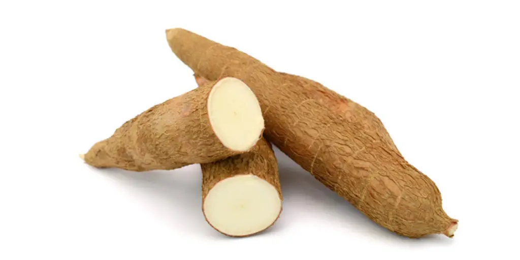 How To Tell If Yucca Is Bad? - Cully's Kitchen