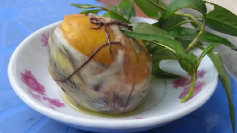 Balut Nutrition Facts - Cully's Kitchen