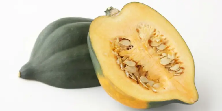 How To Tell If Acorn Squash Is Bad? - Cully's Kitchen