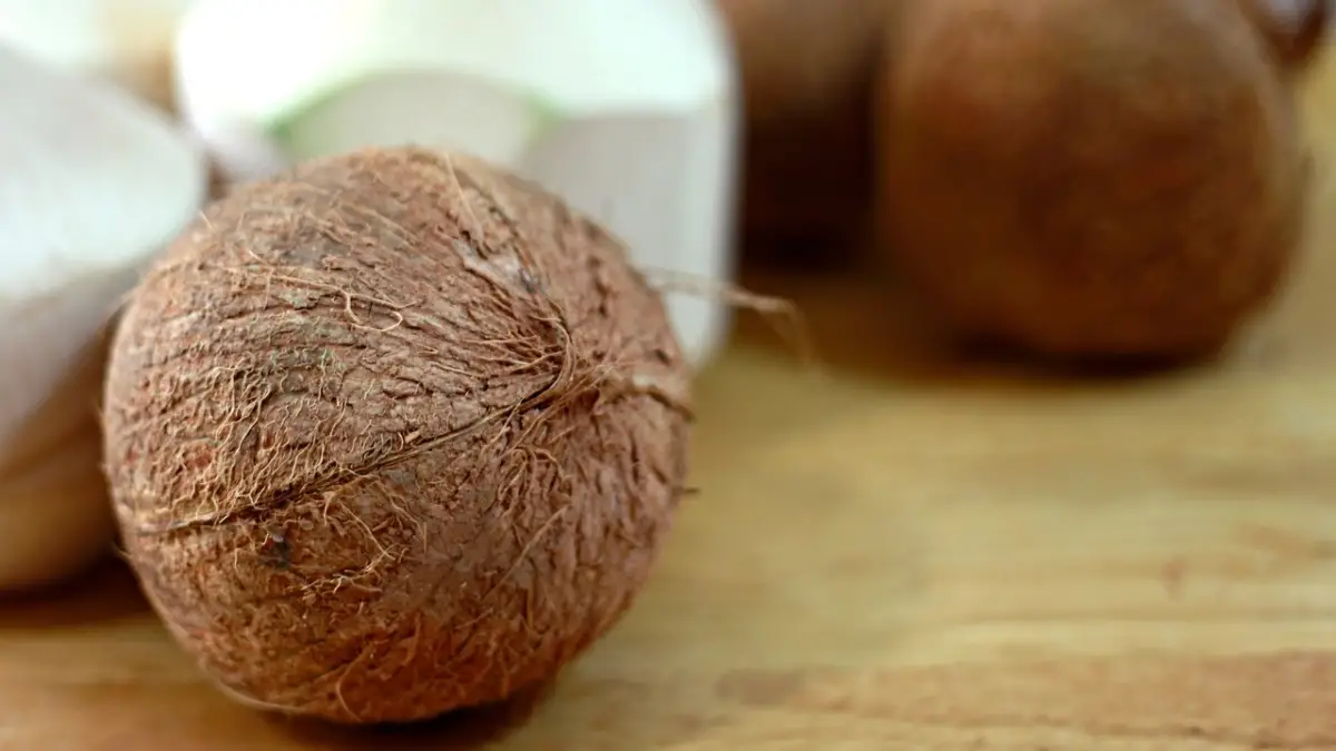 How To Tell If A Coconut Is Bad? - Cully's Kitchen