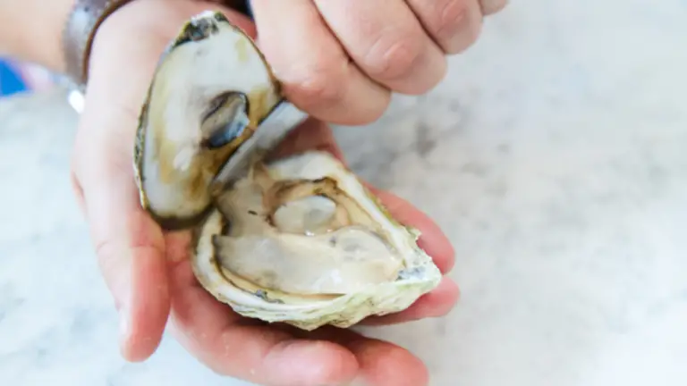How To Tell If An Oyster Is Bad? - Cully's Kitchen
