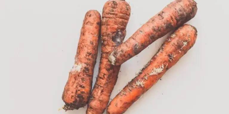 How To Tell If A Carrot Is Bad? - Cully's Kitchen