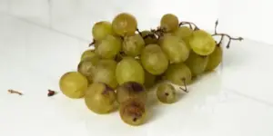How To Tell If Grapes Is Bad? - Cully's Kitchen