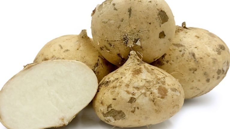 How To Tell If Jicama is Bad? - Cully's Kitchen