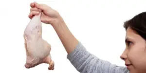 What Does Bad Chicken Smell Like?