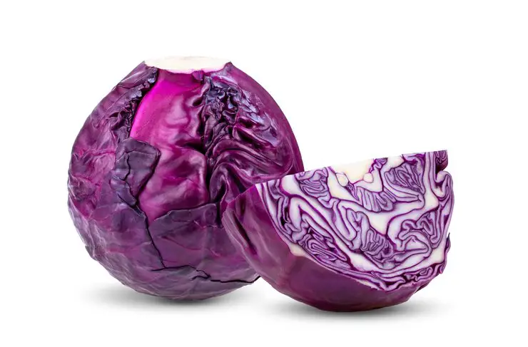 How To Tell If Red Cabbage Is Bad? - Cully's Kitchen