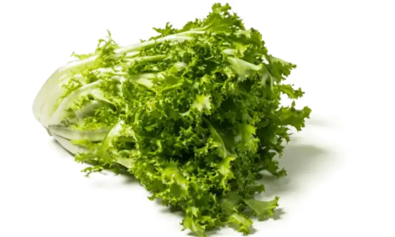 Escarole Nutrition Facts