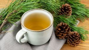 How to Drink Pine Needle Tea? - Cully's Kitchen