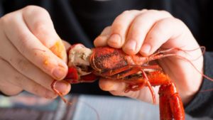 How to Tell If Craw fish Have Gone Bad?