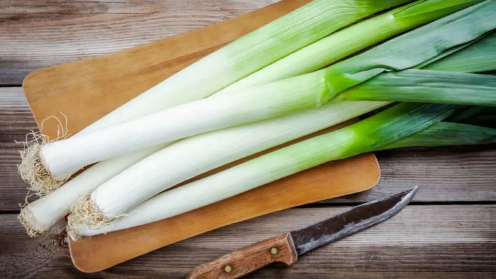 How to Tell if Leek is Bad? - Cully's Kitchen