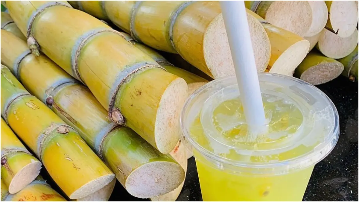 Sugarcane Juice Nutrition Facts Cully s Kitchen sugarcane-juice-nutrition-facts-cully-s-kitchen