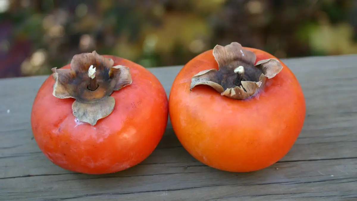How to Tell if Persimmon is Bad? - Cully's Kitchen How to Tell if Persimmon is Bad? - Cully's Kitchen