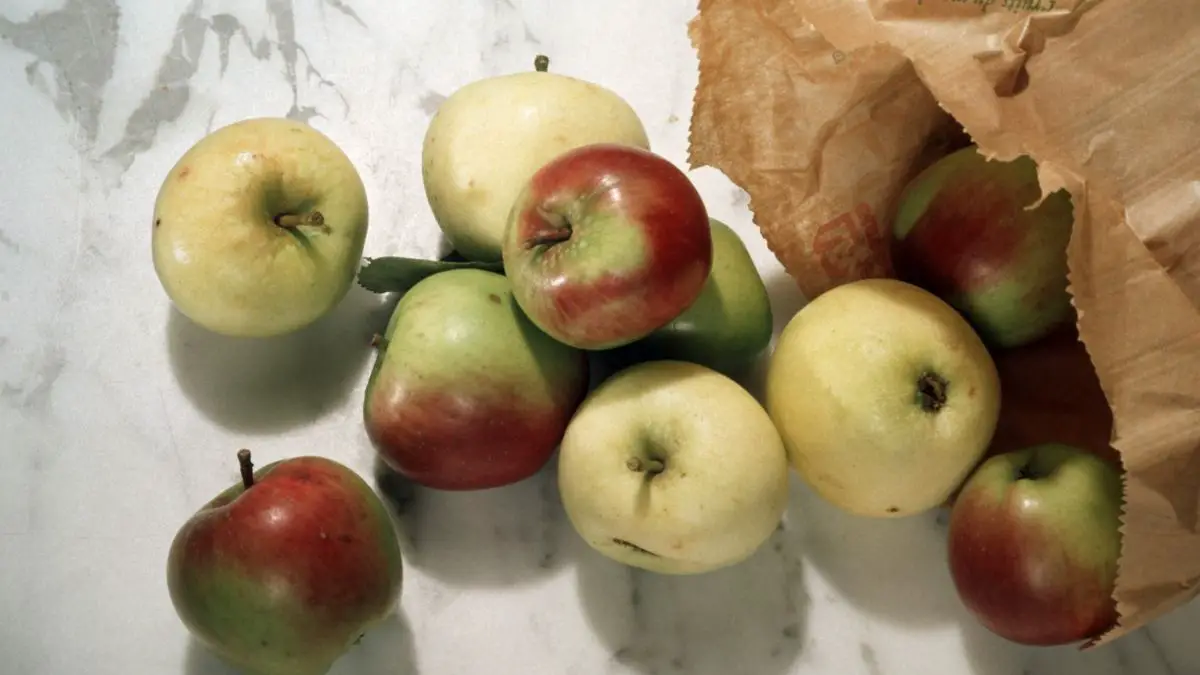 How to Tell if Apples are Bad? - Cully's Kitchen