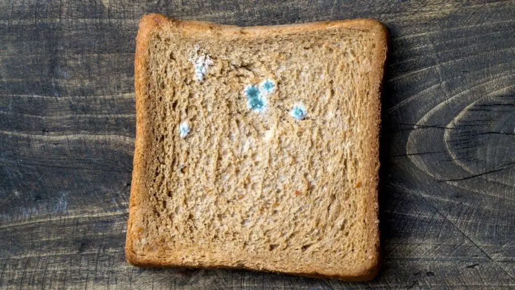 How to Tell if Bread is Bad? - Cully's Kitchen