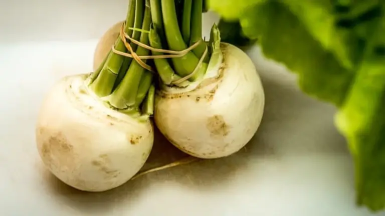 How to Tell If Turnip Has Gone Bad? - Cully's Kitchen