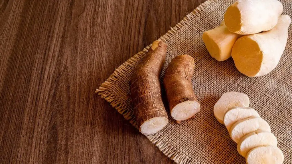 What is Tapioca? - Cully's Kitchen