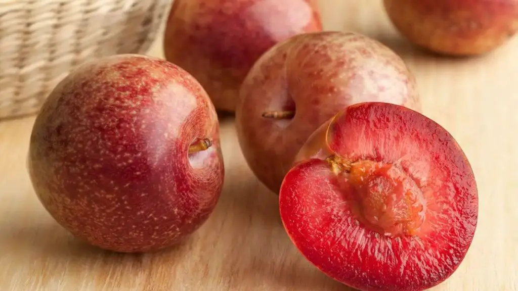 What are Pluots? - Cully's Kitchen