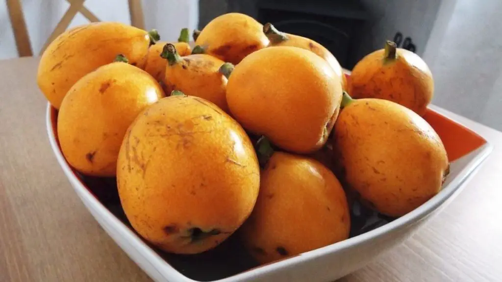 What is the Nispero Fruit? - Cully's Kitchen