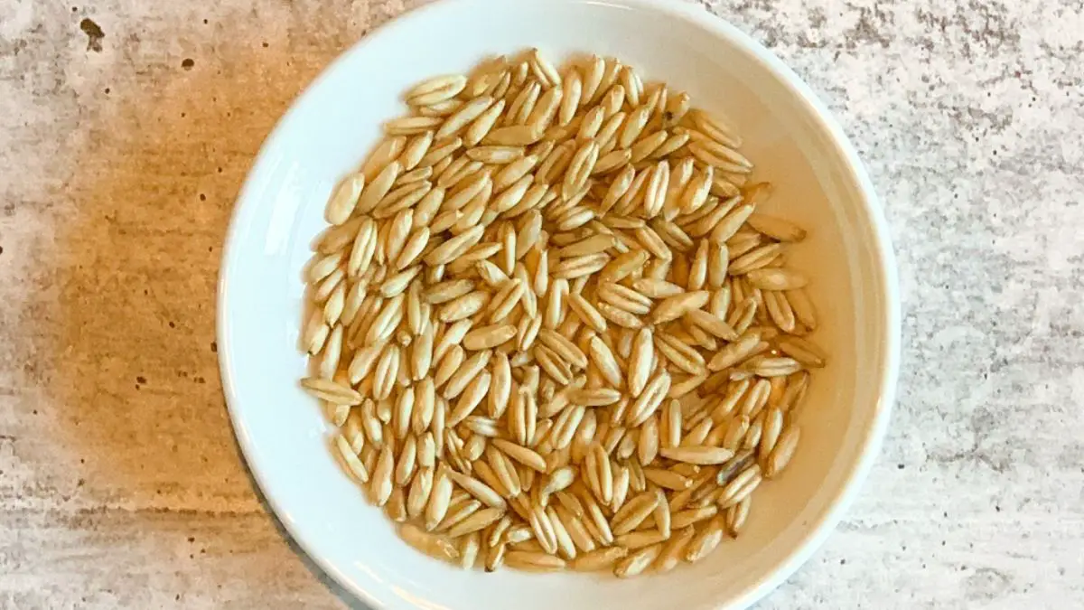What are Oat Groats? - Cully's Kitchen