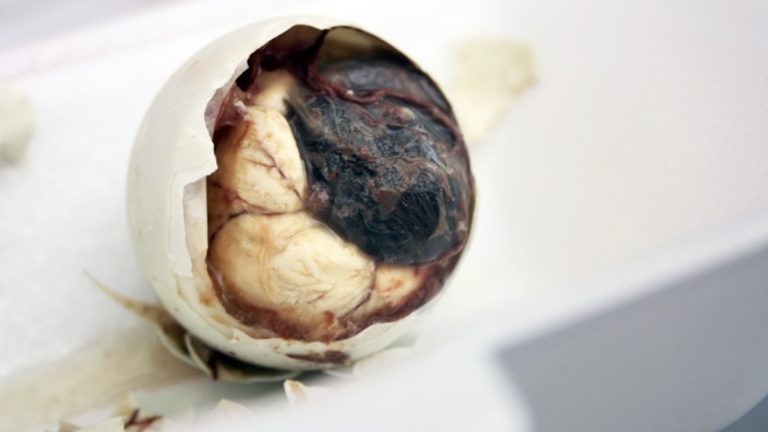 How Long to Boil Balut? - Cully's Kitchen