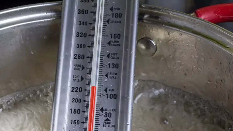 Best Deep Fry Thermometer for your Kitchen